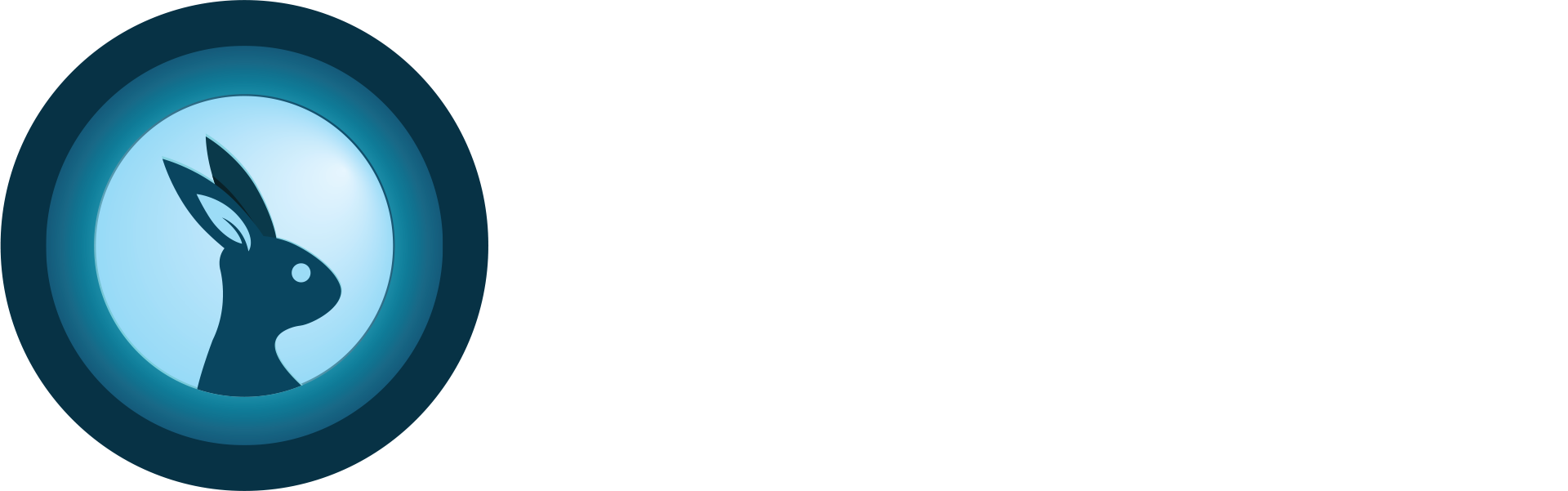 The Rabbit Hole
